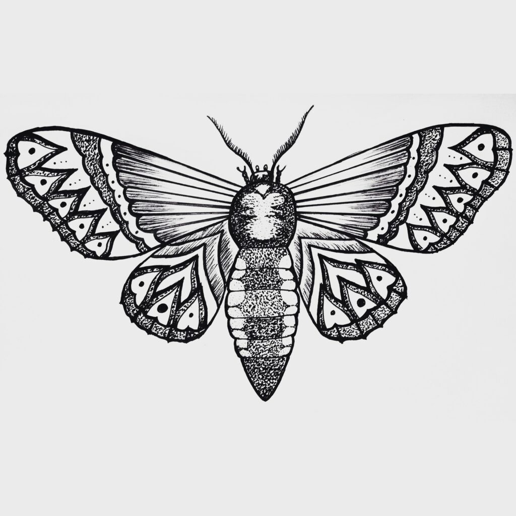 Moth Tattoo Meaning And Symbol - Hi Wild Flower