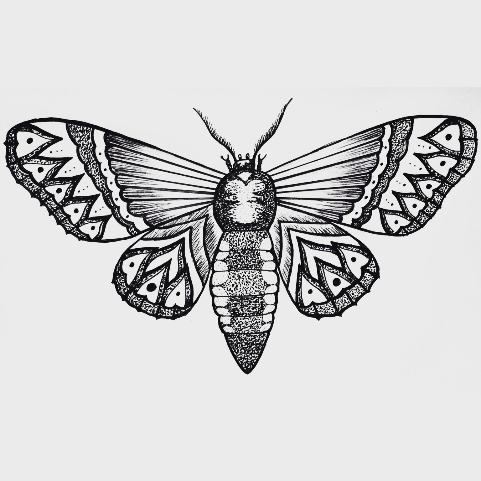 Moth Tattoo Meaning And Symbol - Hi Wild Flower